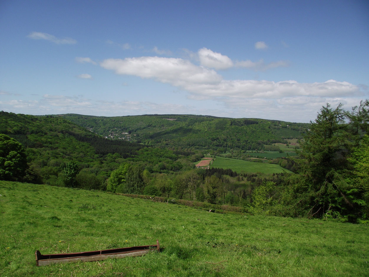 The Forest of Dean and canoeing along the river Wye, border between ...