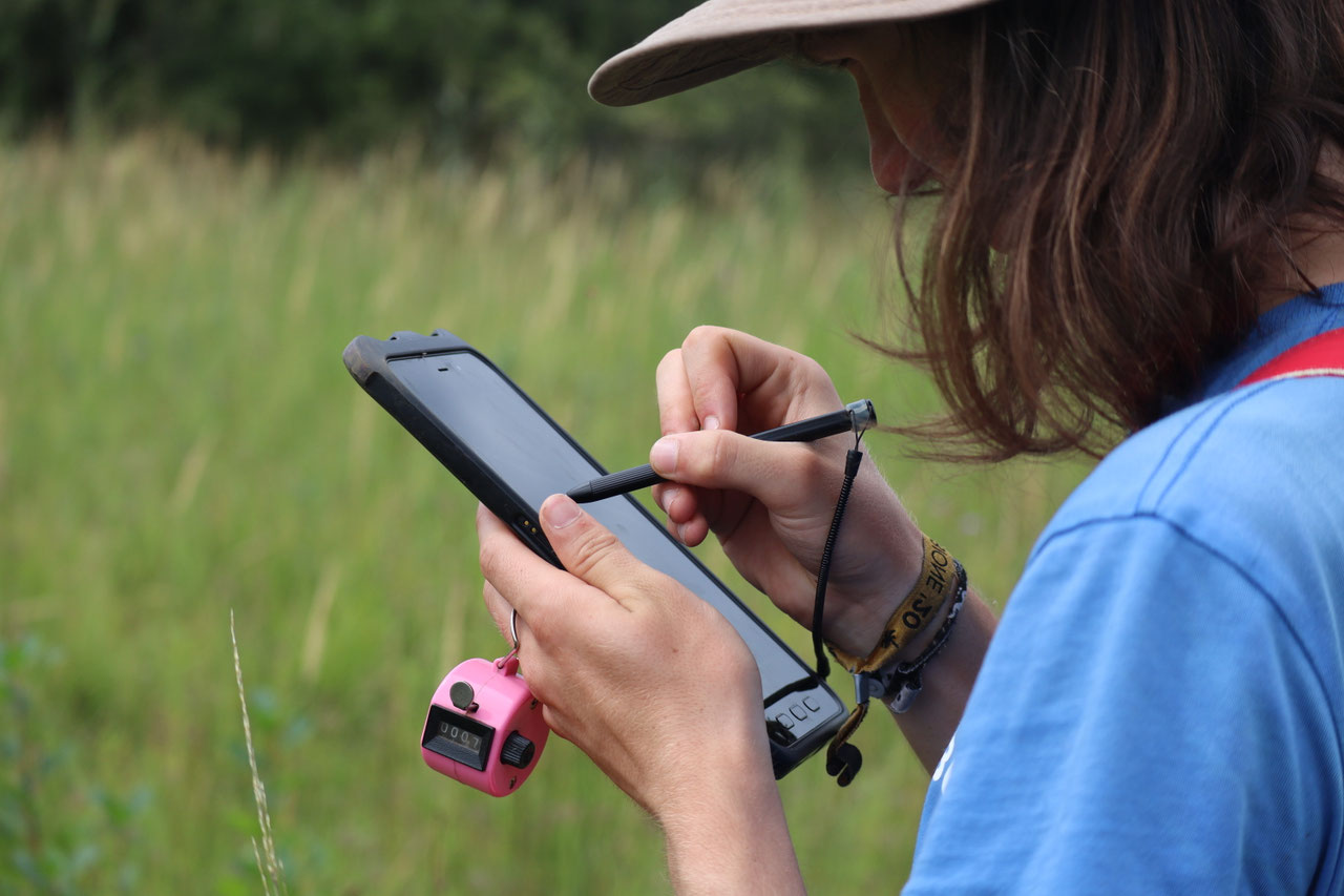 Betreuung und Monitoring - NABU-Bodenseezentrum