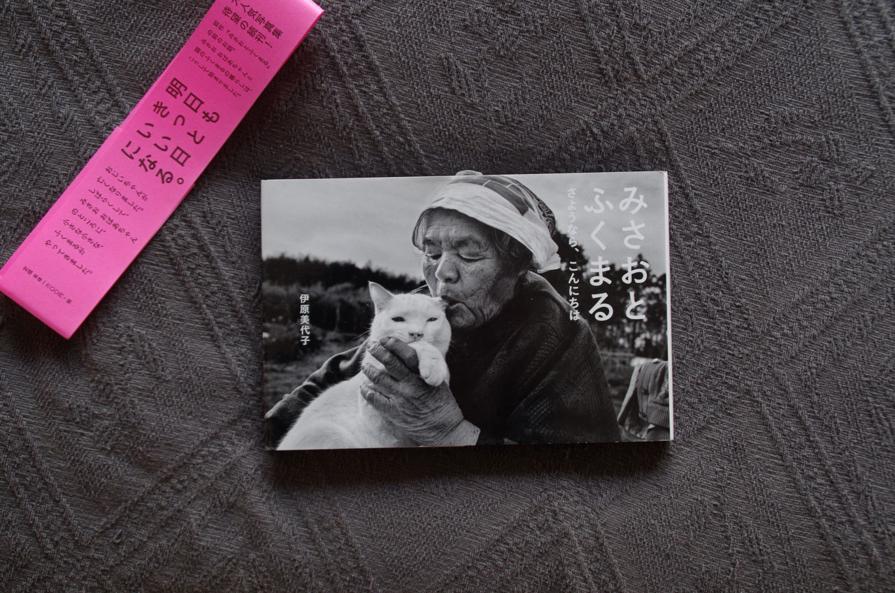 "MISAO THE BIG MAMA & FUKUMARU THE CAT" - IHARA Miyoko - Librairie ...