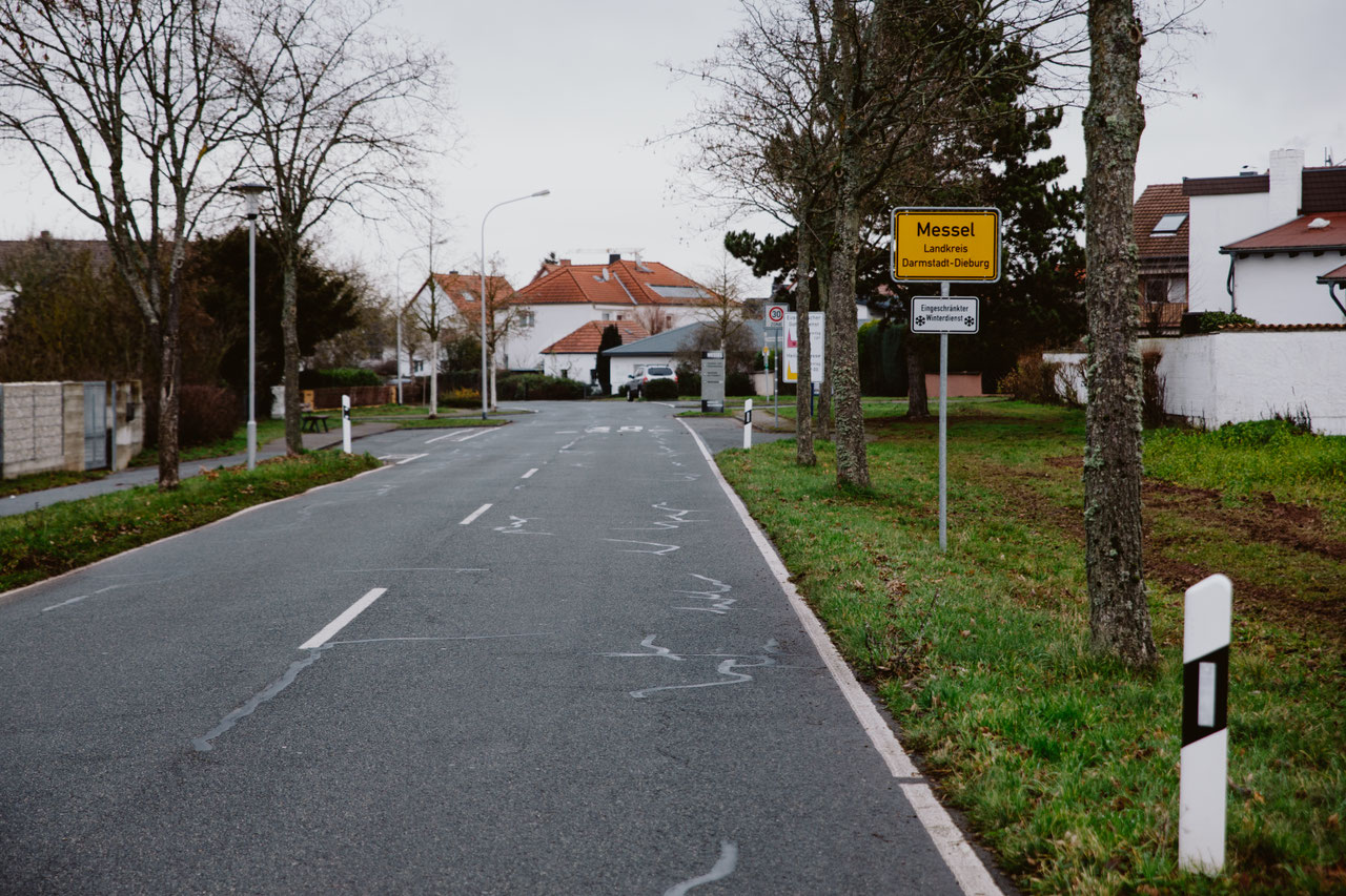 Messel ein Ort zum Leben - Die Grünen Messel