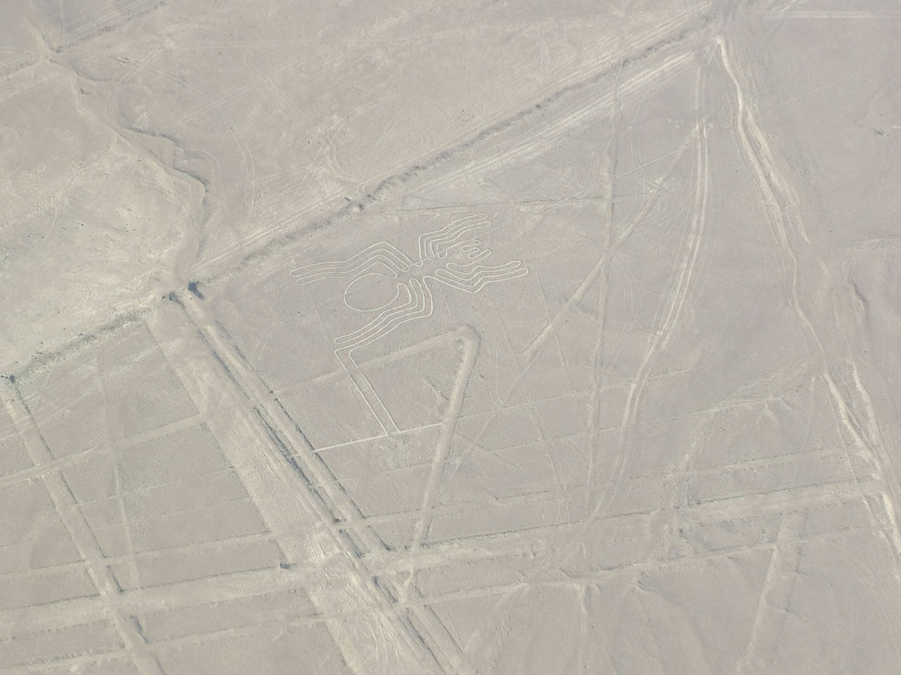The enigmatic Nazca Lines: The mysterious geoglyphs of Peru - History ...