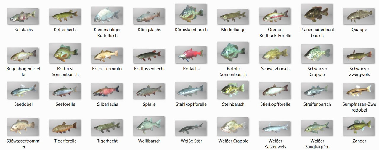 Fischarten - caruptors-fishingplanet-guides Webseite!