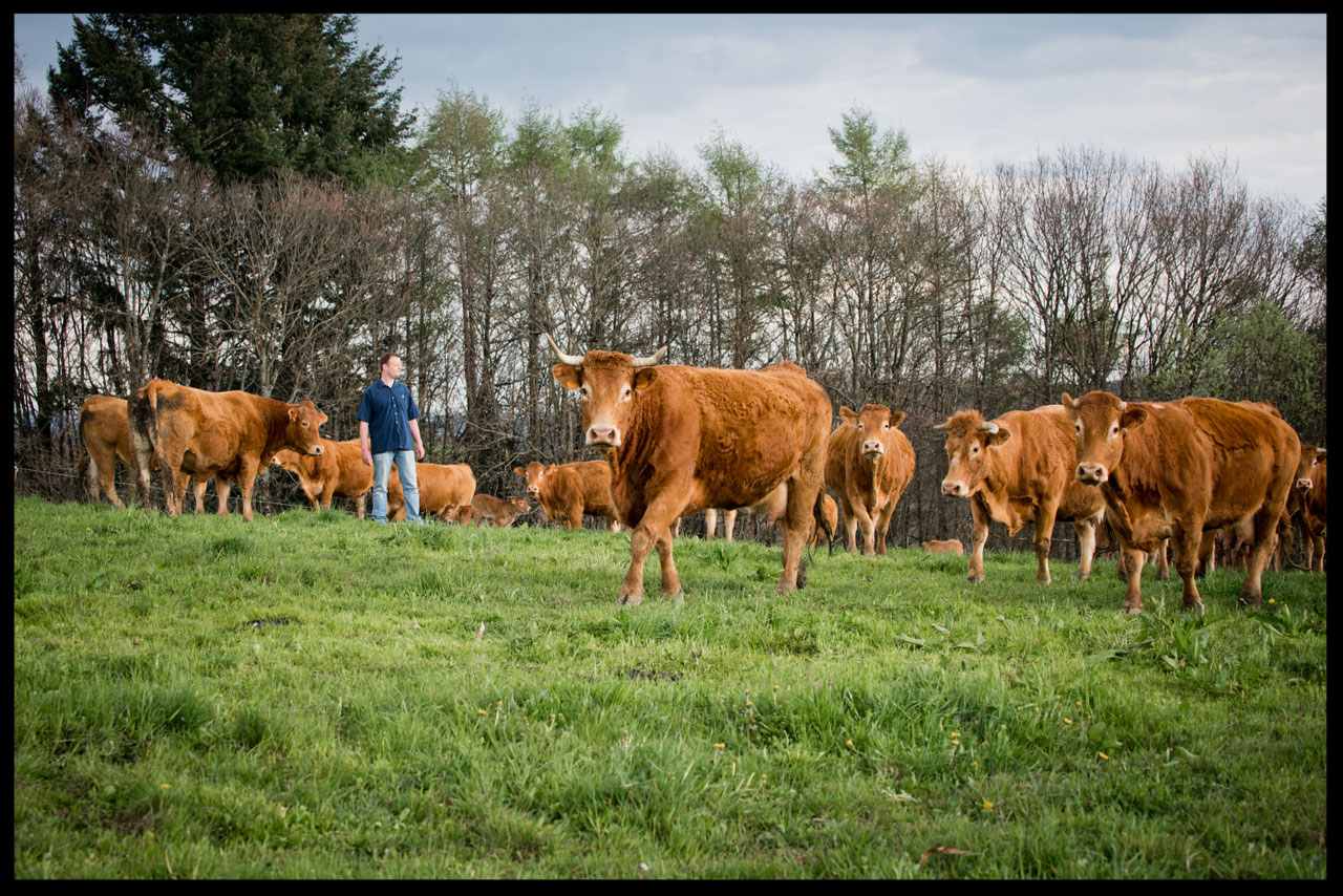 Colis de viandes de la Corrèze - Marjorie et François Tavé - producteur ...