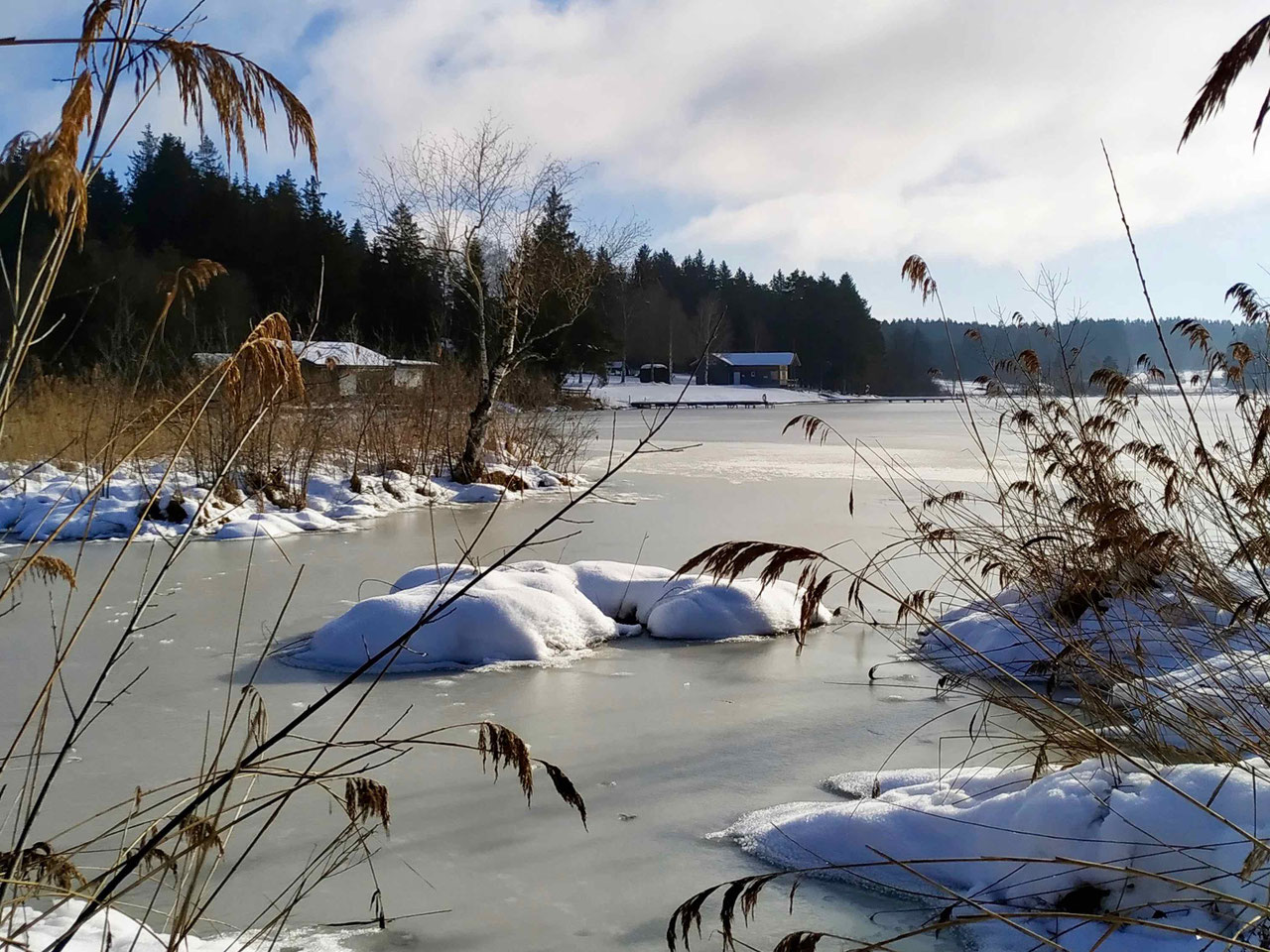 Der Elbsee - Tipps