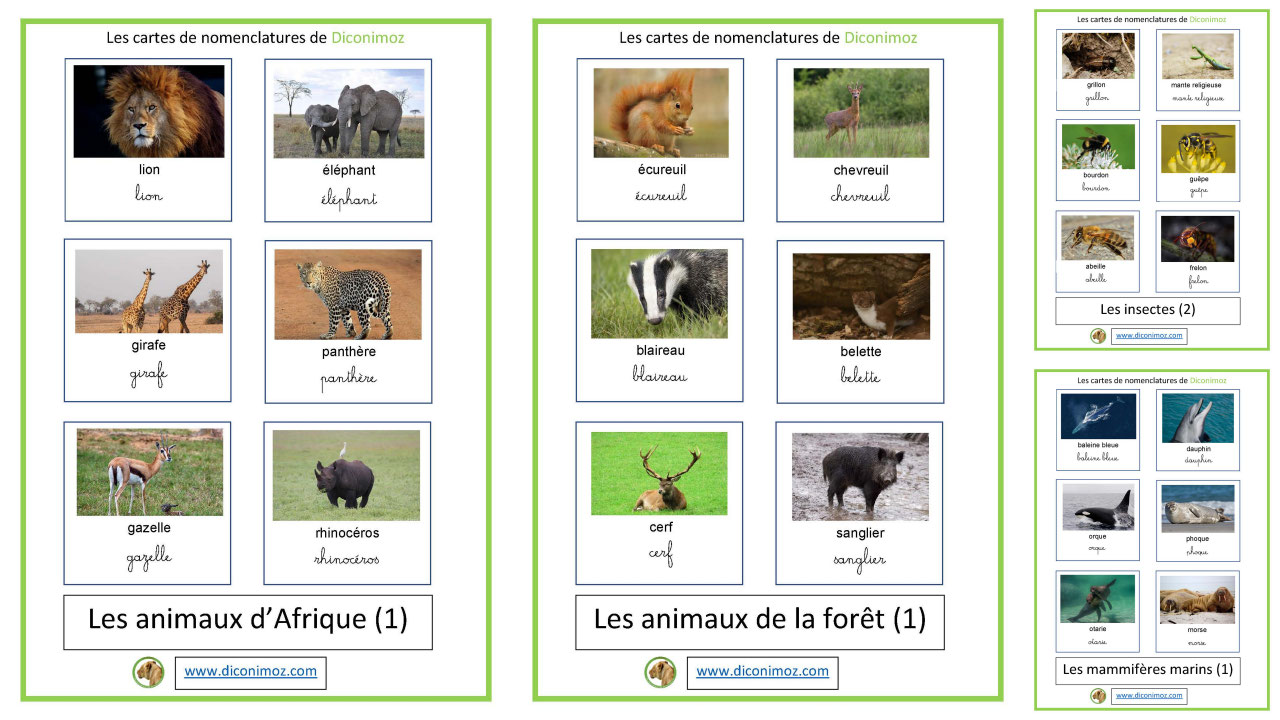 CARTES NOMENCLATURE ANIMAUX - Dictionnaire des animaux