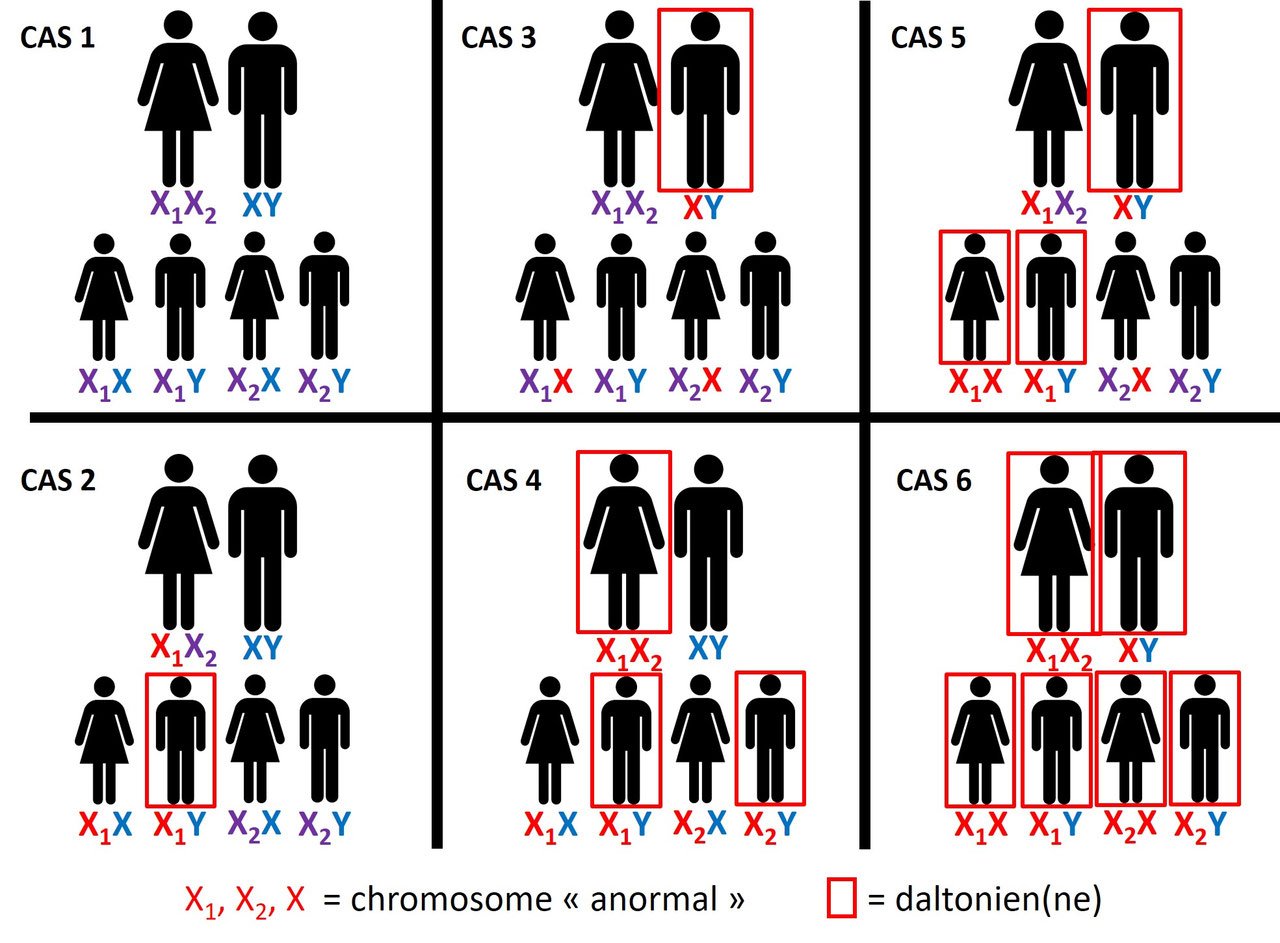 Le daltonisme - 1,2,3 Couleurs ! Expériences scientifiques et boutique ...