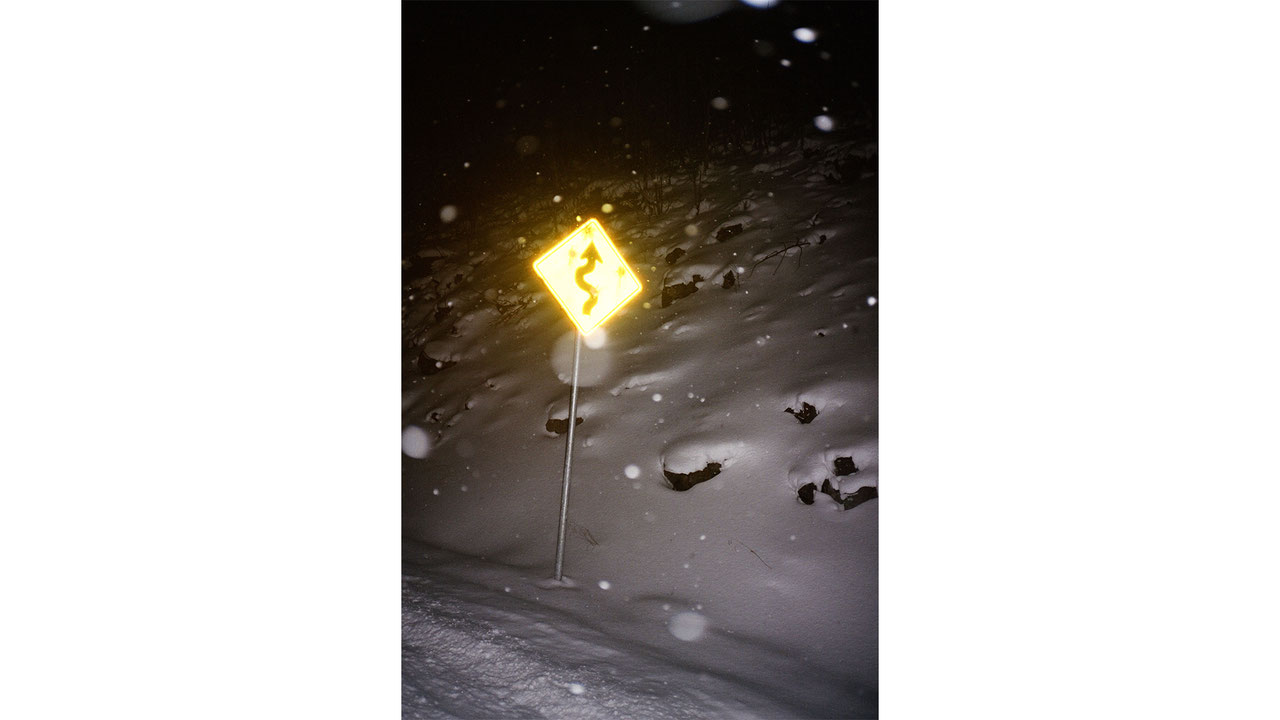 TOP - GALLERY TARGET OFFICIAL SITE