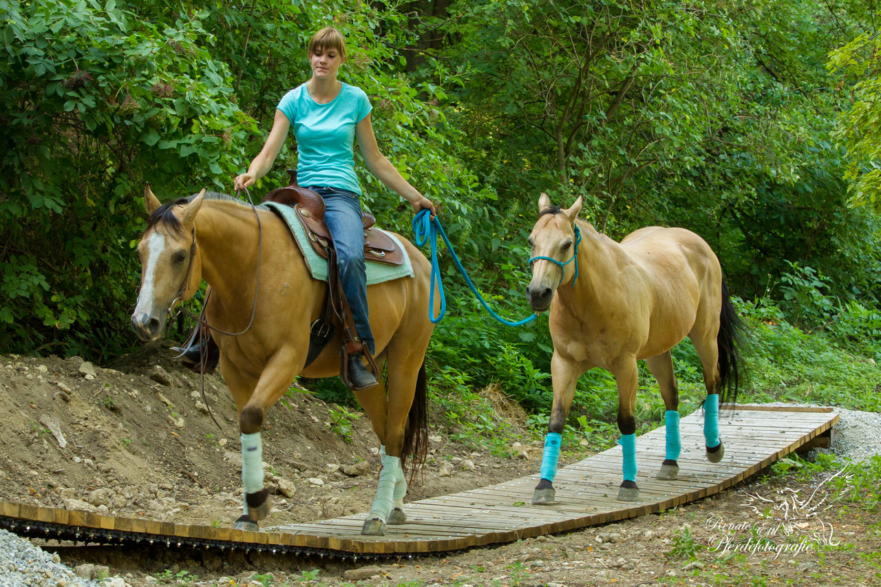 Extreme Trail in Österreich - Extreme Trail Park Sommerein