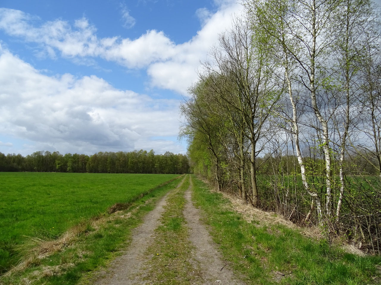 Sulinger Moor - NABU Sulingen Webseite