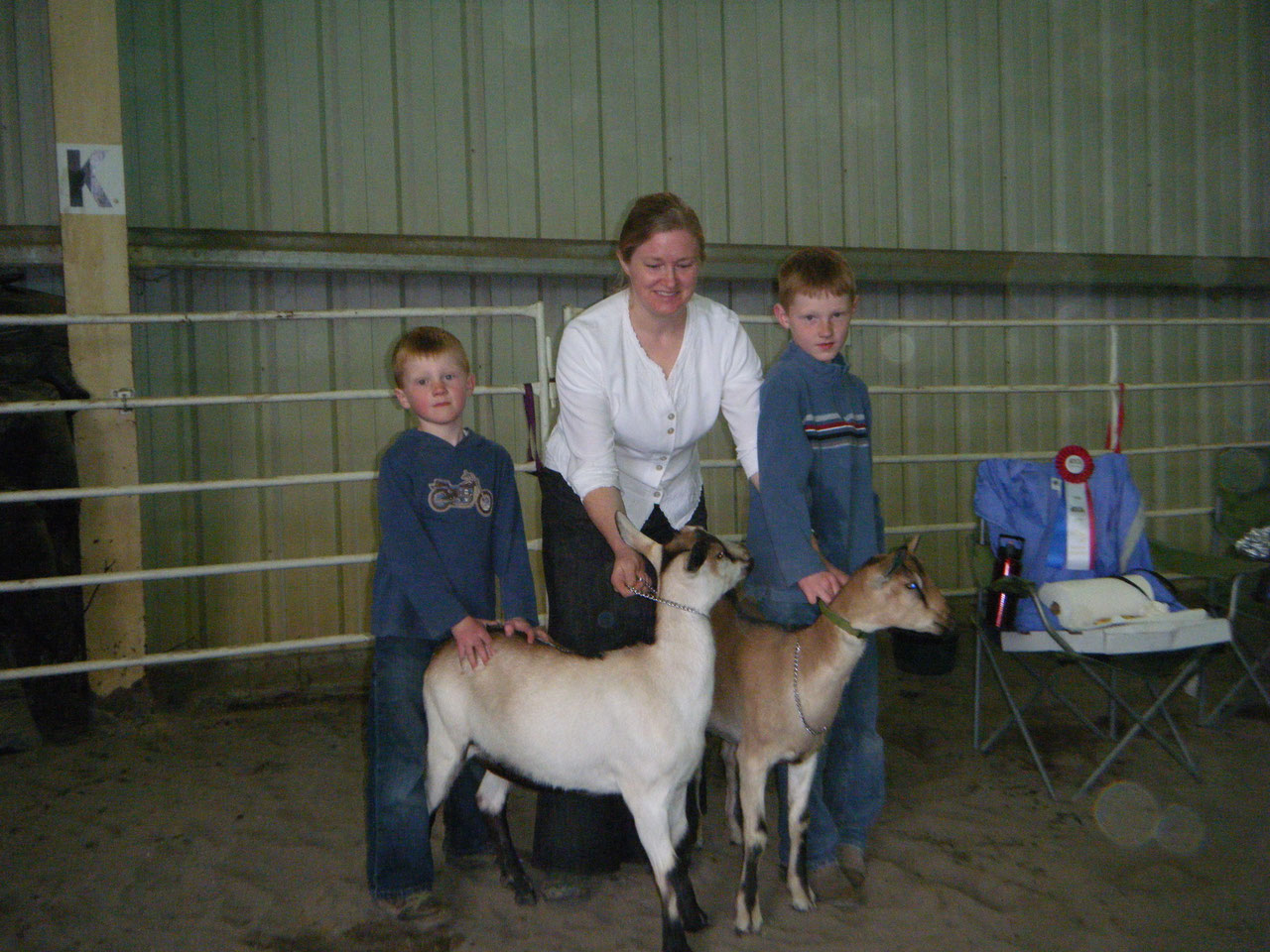 Mini Alpine Dairy Goats - Wasilla Lights Farm