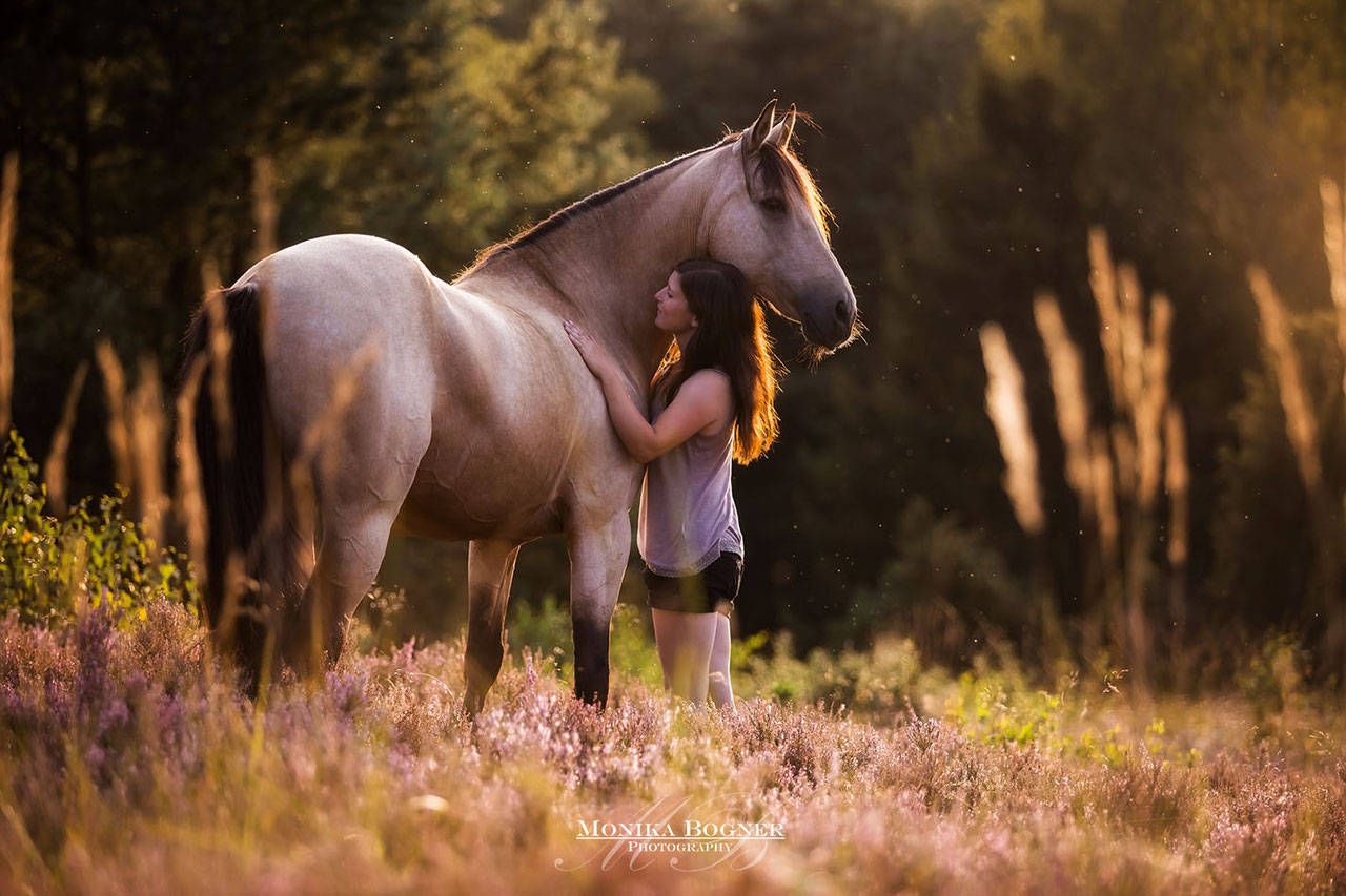 Pferd & Mensch - Pferdefotografie - Monika Bogner Photography