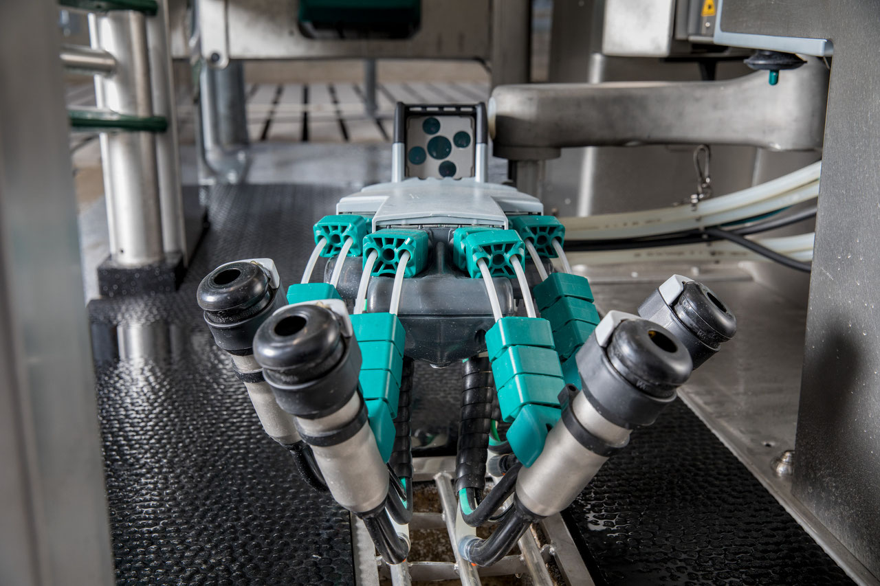 Melkroboter Monobox - Melken - Kühlen - Füttern