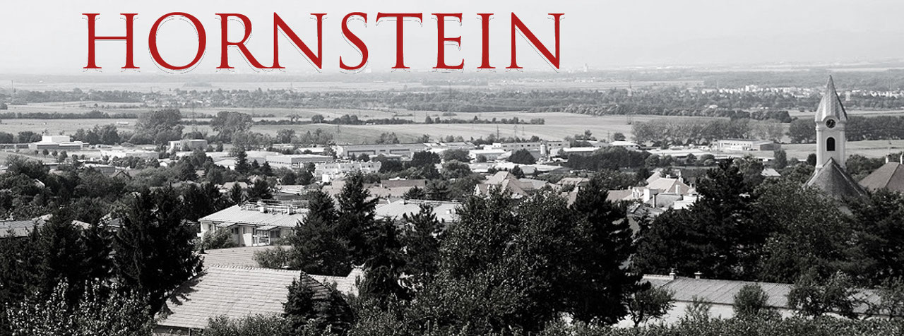 Seitenblicke aus Hornstein - Seitenblicke Hornstein