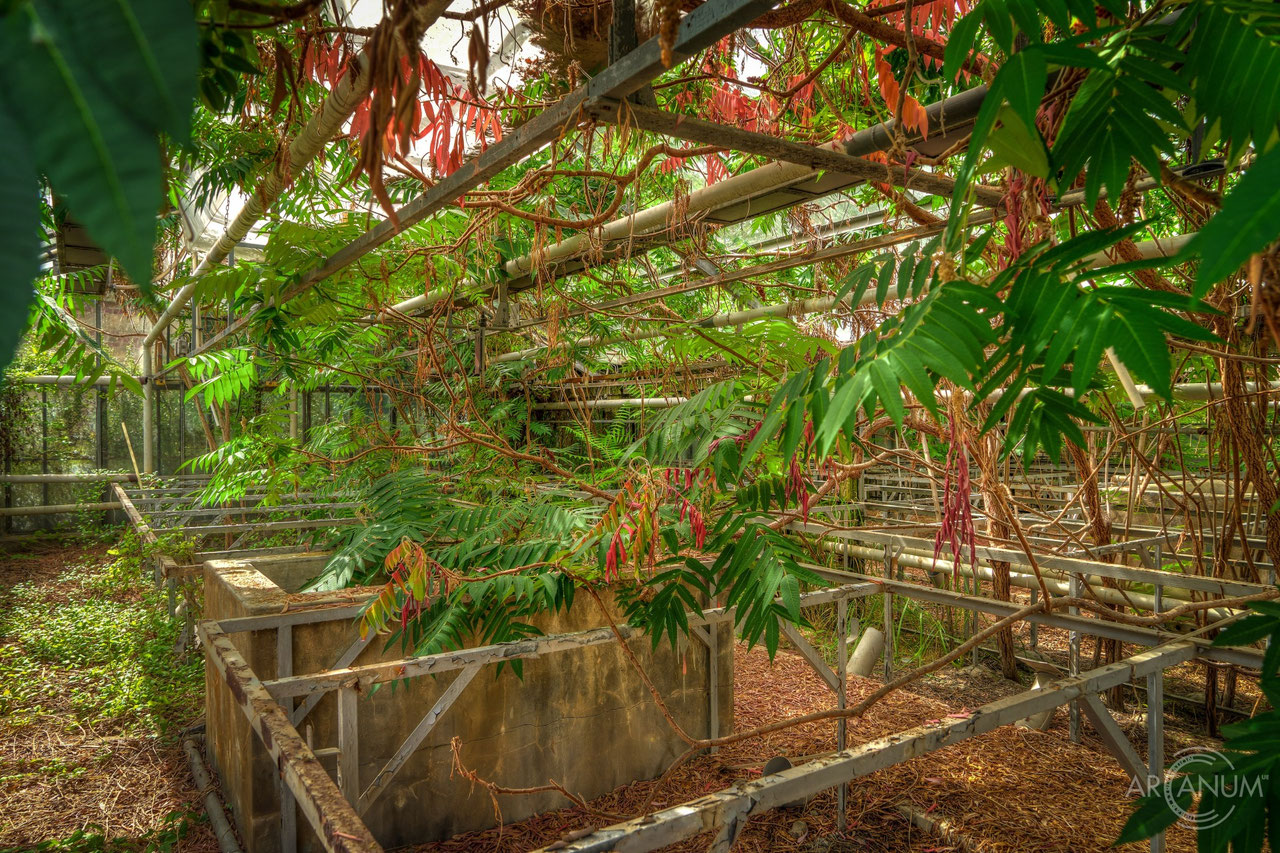 Research Facility "Jungle Institute" - Arcanum Urbex
