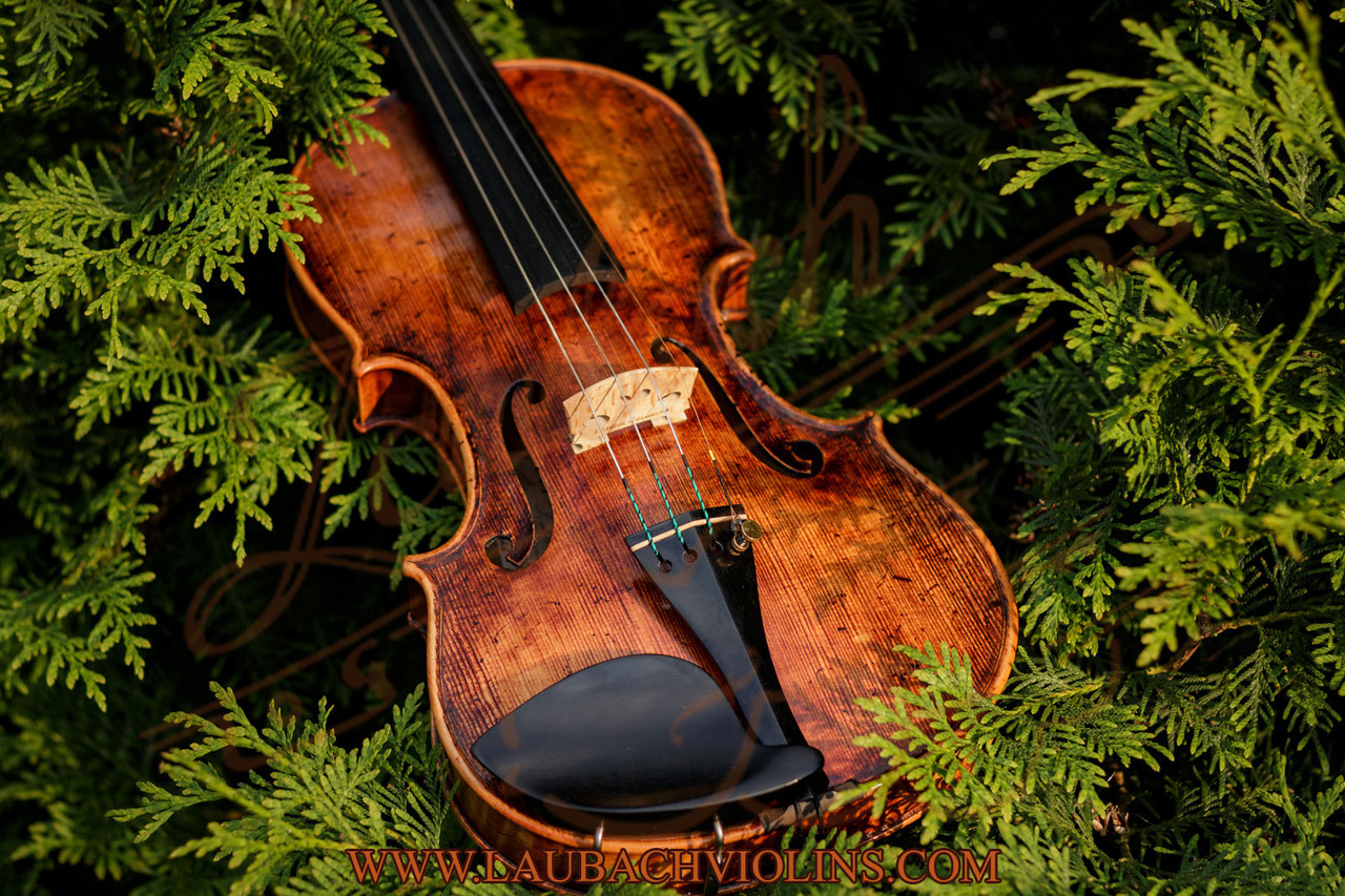 Fine Master Violin with an antique cremonese look and old sound ...