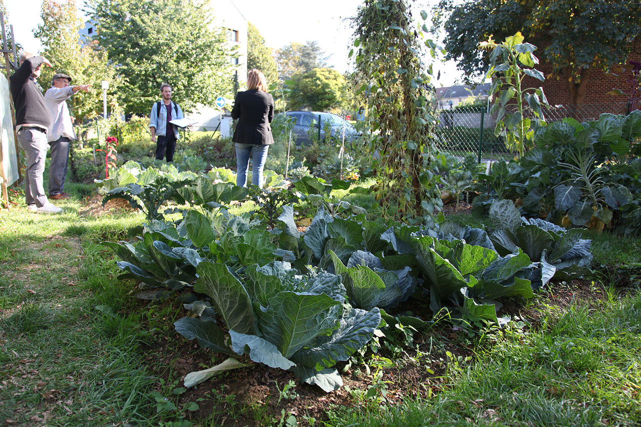 HOMBORCH – CITÉ JARDIN COLLABORATIVE - Site de michelskevinpaysage