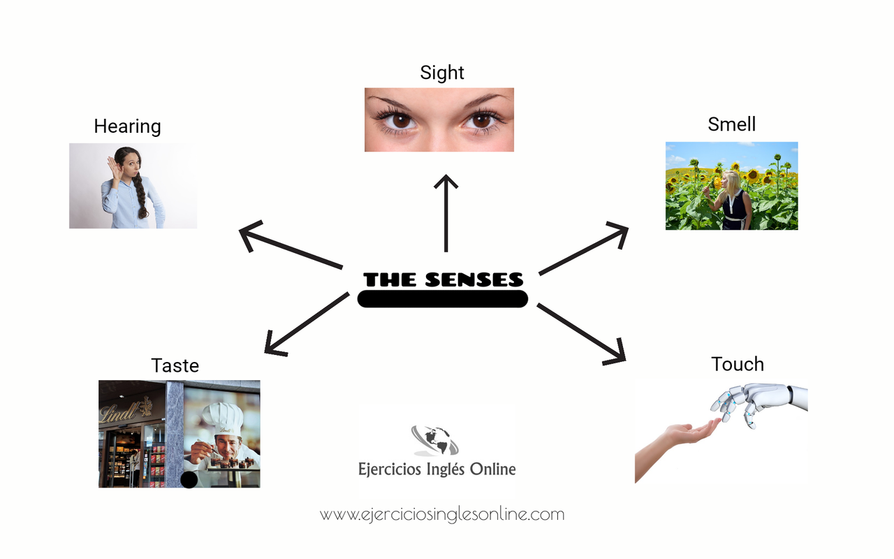 Los sentidos en inglés - Ejercicios inglés online