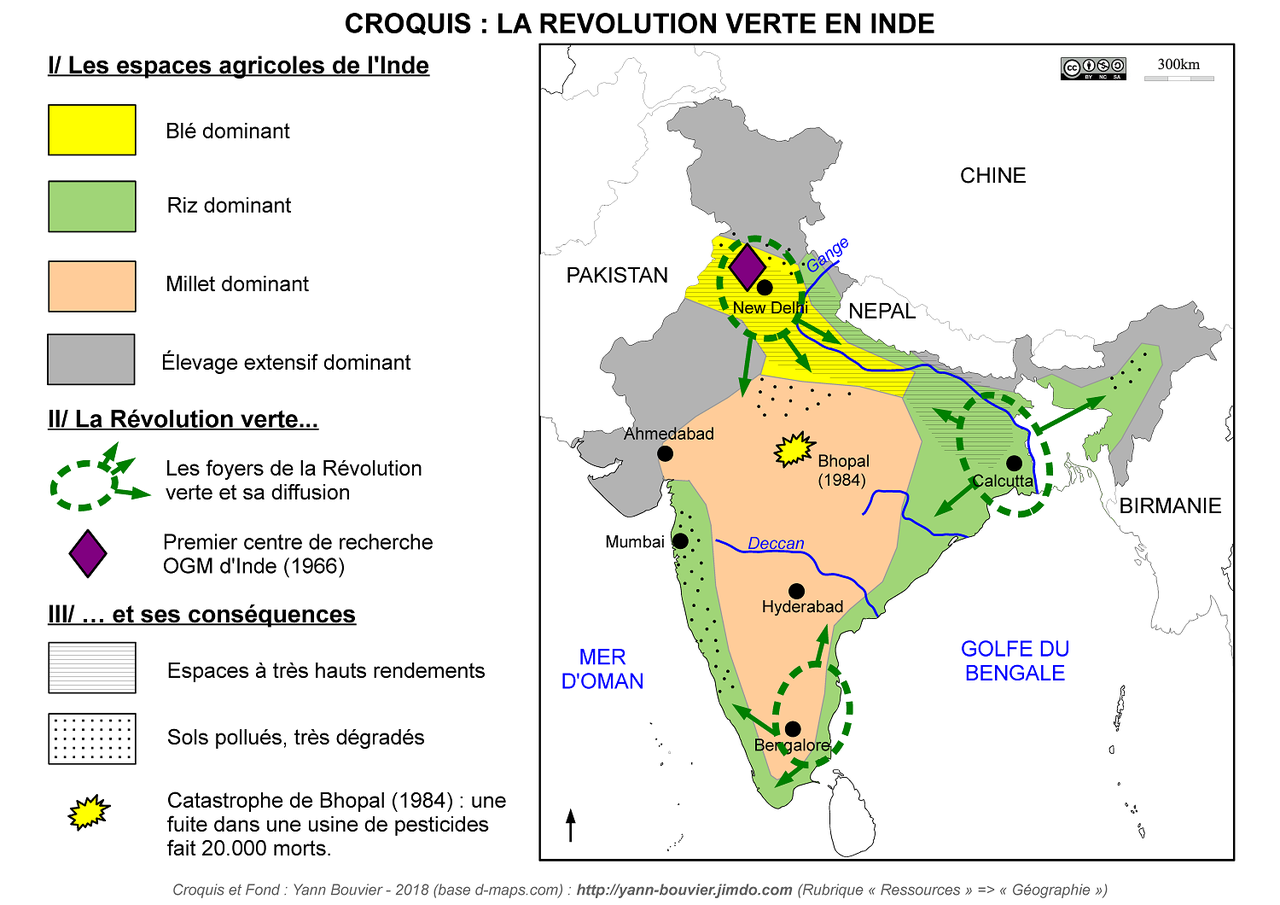 CROQUIS - La Révolution verte en Inde (Nourrir les Hommes) - Cours d ...
