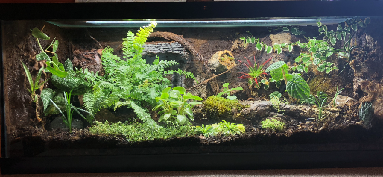 Technical Data - SunBlaster Lighting