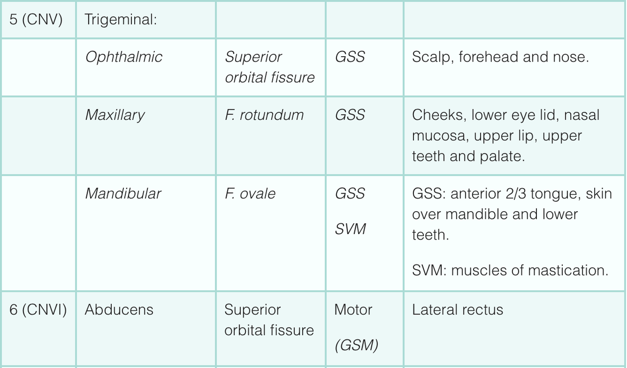 Cranial nerves - NeurologyNeeds.com