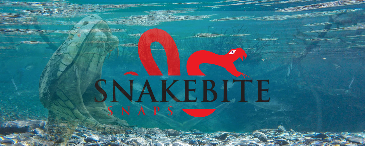 Easy Fishing Snap Weights - Easy Snap Weight Solutions-Snakebite Snaps
