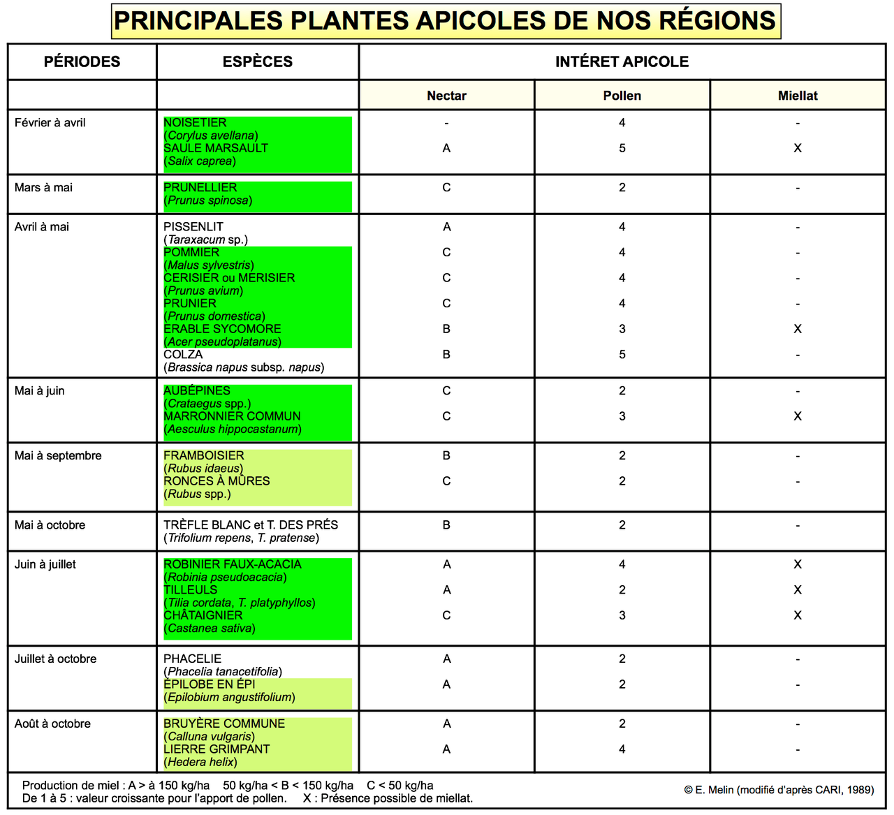 Les plantes incontournables... - Site de botanique apicole