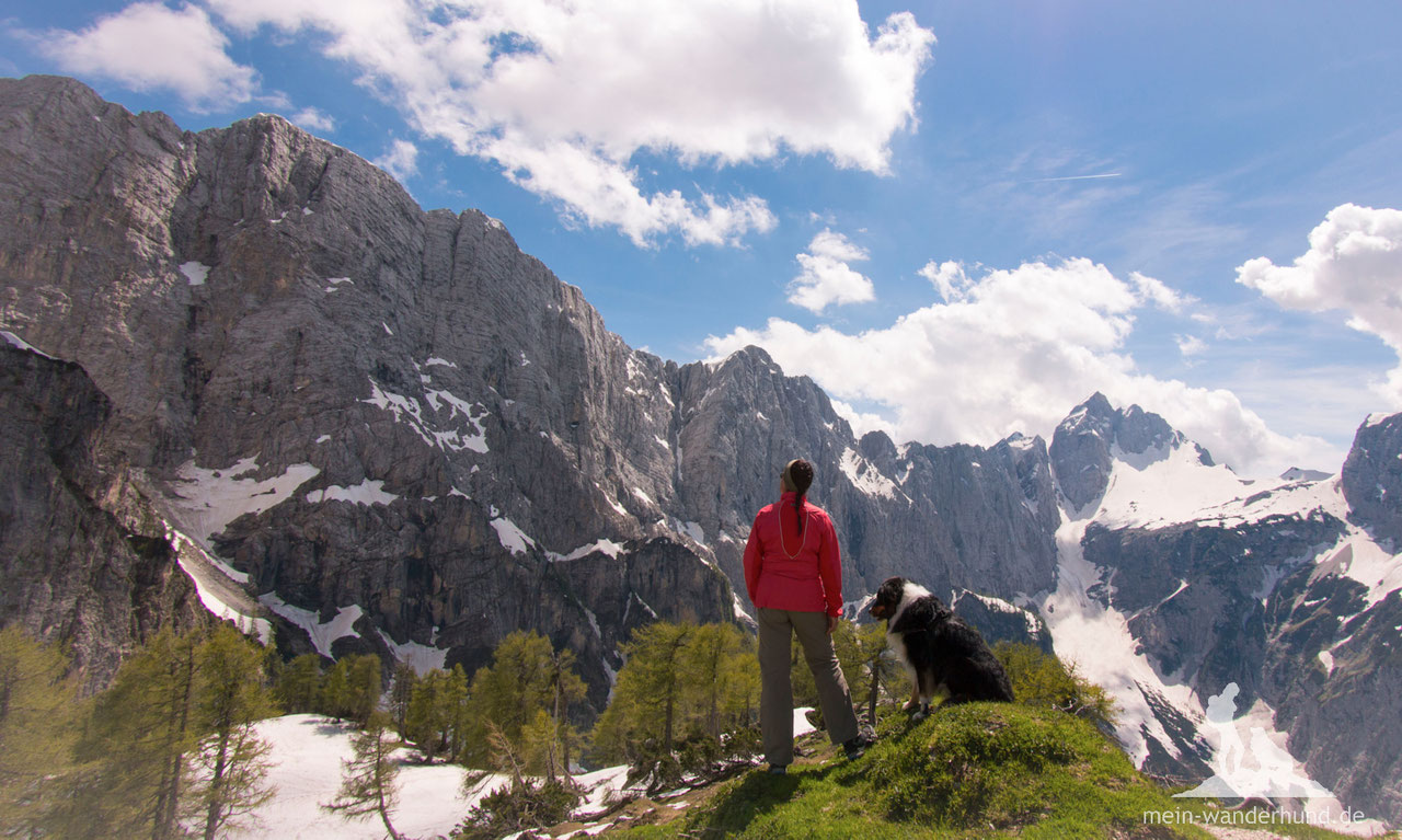 Bergwandern mit Hund - Tourenvorschläge - Wandern mit Hund