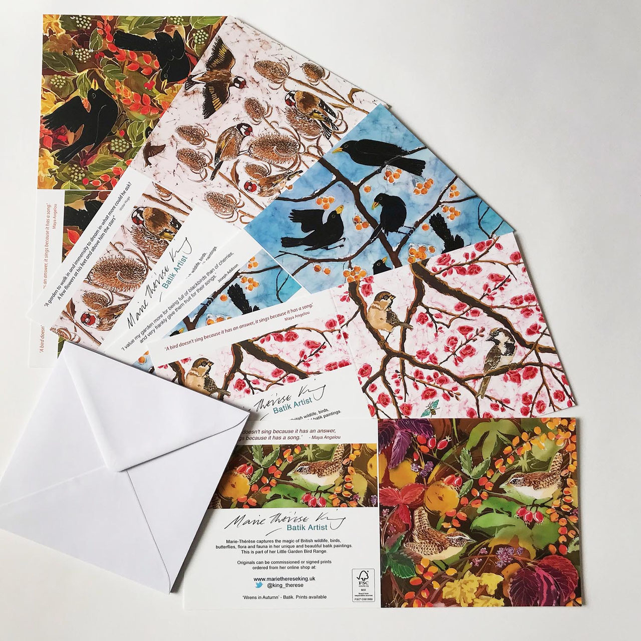 Garden Bird Groups Art Card Multipack - Marie Therese King - Wildlife ...