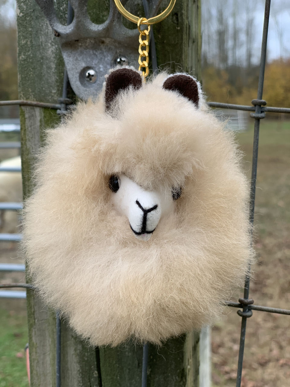 fluffy alpaca