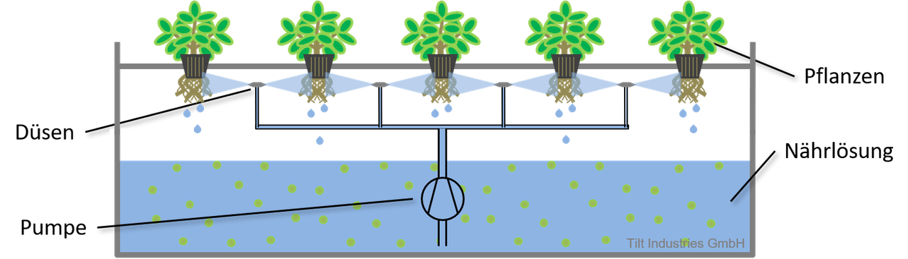 Hydroponik Grundlagen - SINTERRA - Hydroponics without substrate