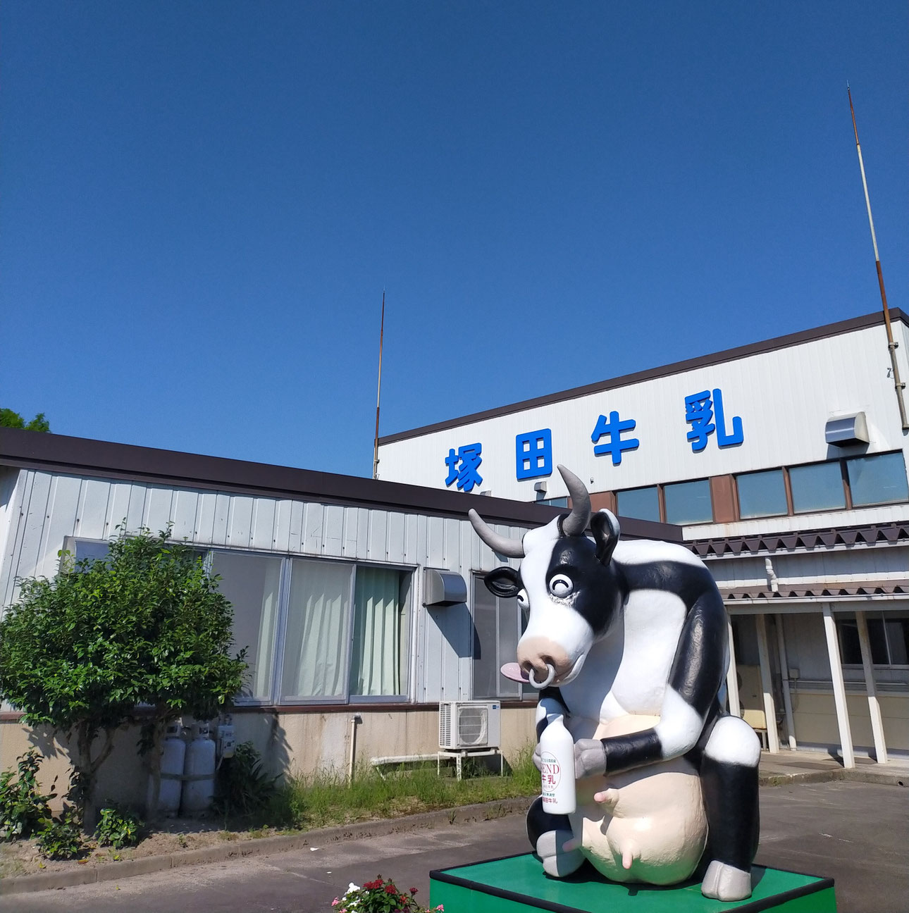 「塚田moco」の誕生秘話 - 塚田牛乳