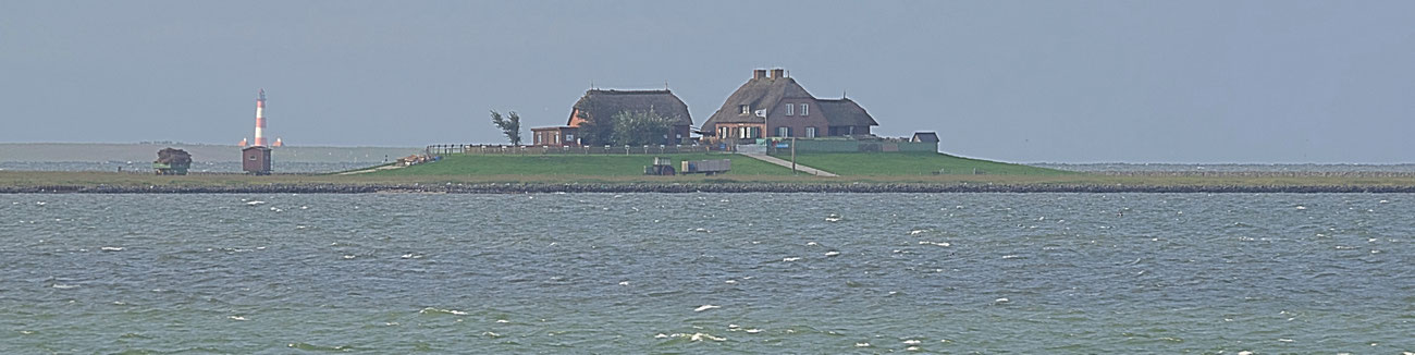 Ein Tag auf Hallig Hooge - LUPESI