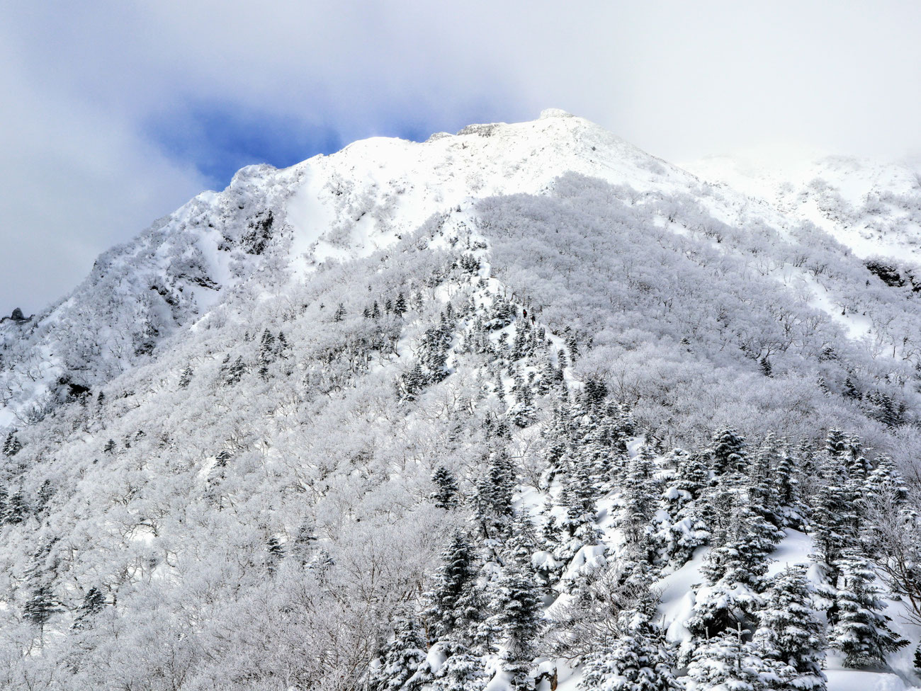 雪山登山・杣添尾根から横岳（日帰り） - Yamanzai Mountain Guide & Works