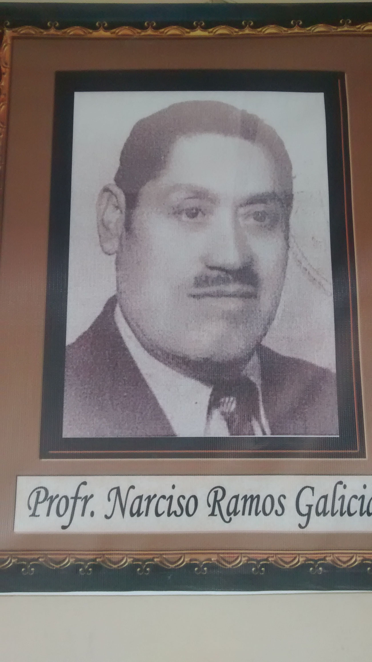 Esc. prim. Profr. Narciso Ramos Galicia - Narcisos 22
