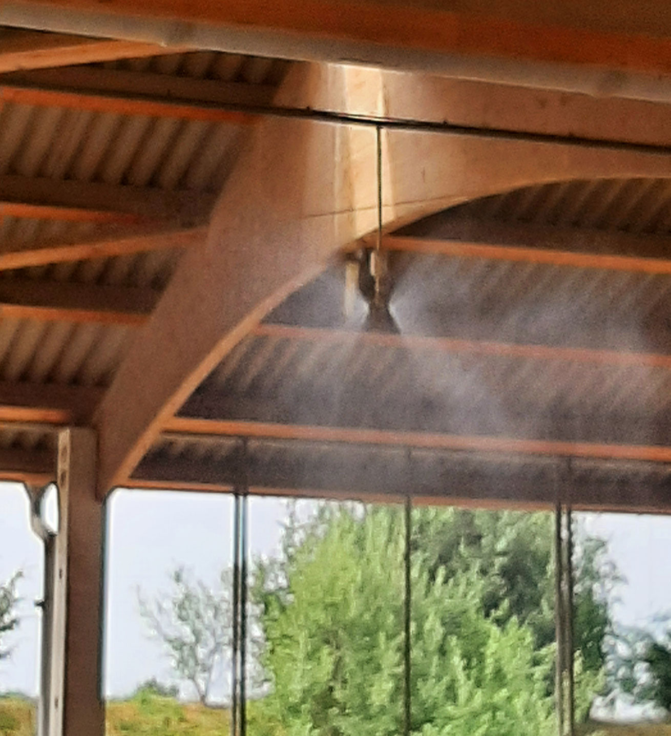 Reduce heat stress in cows by misting or spraying - www.stockmanship.eu