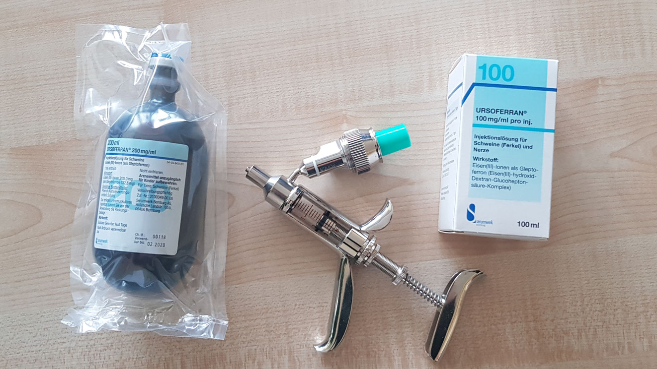 Serumwerk Bernburg, Marktführer mit Wirkstoff Gleptoferron - BBGLIVE