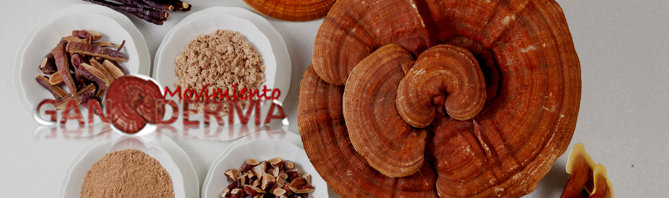 DOSIS Y RECOMENDACIONES DE CONSUMO DEL GANODERMA LUCIDUM