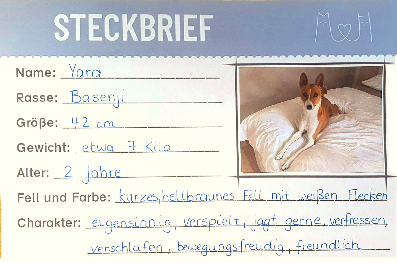 Deutsch - gsamgruenenkamps Webseite!