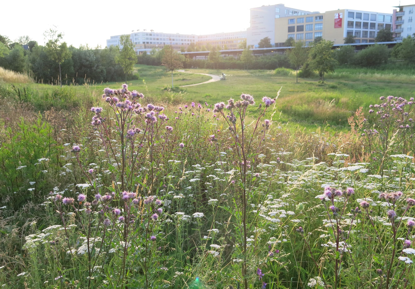 Kurt-Julius-Goldstein-Park - Lokalzeitung für Marzahn-Hellersdorf