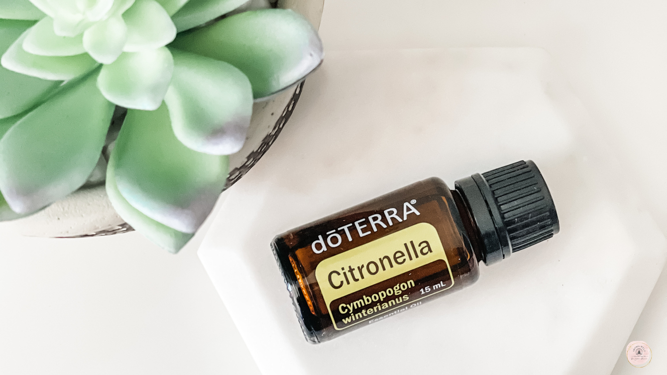 Aroma Welt │doTERRA Citronella ätherisches Öl - Beschreibung in Deutsch ...