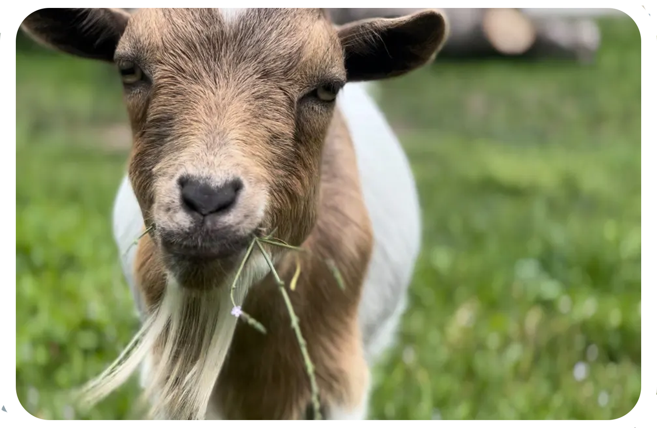 Eintauchen in vergangene Zeiten - Jugendliche lernen Medien