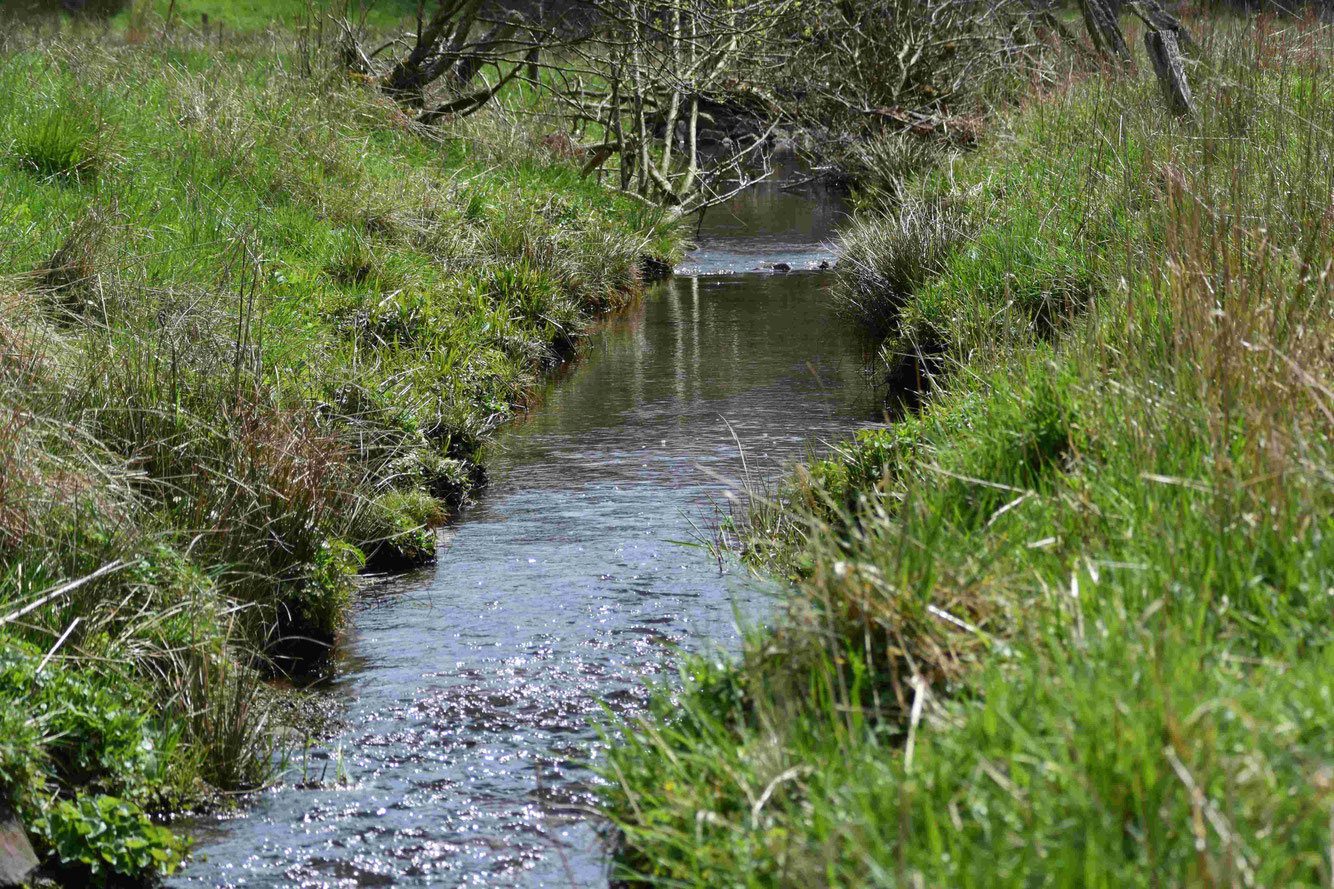Was macht denn der NABU Euskirchen da? - nabu-euskirchens Webseite!