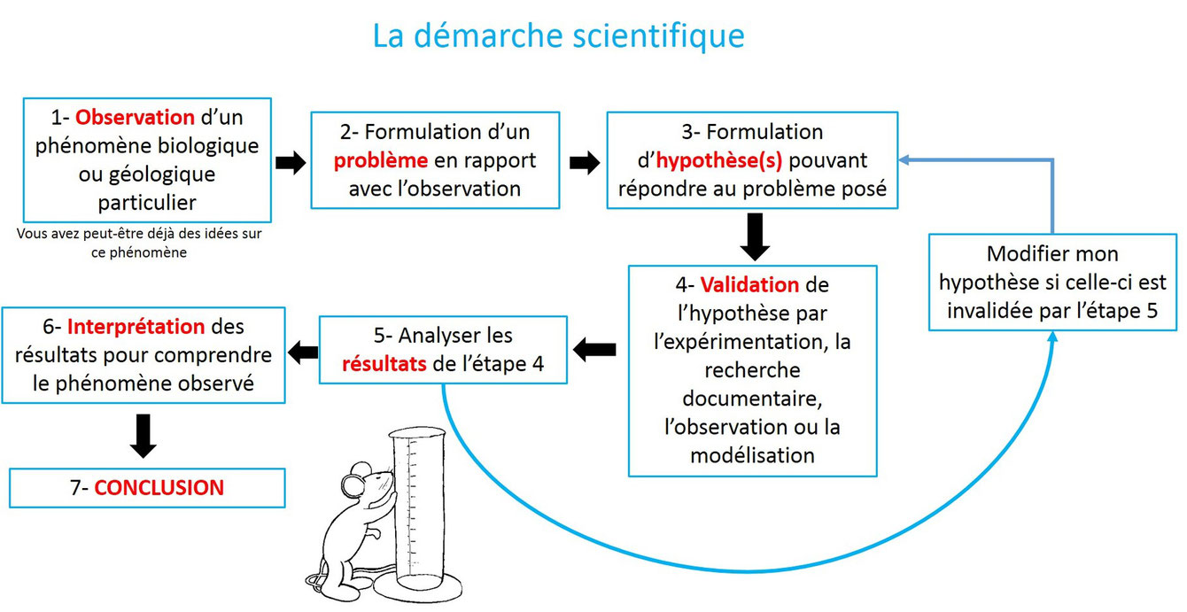 Démarches scientifiques, modèles et modélisations en SVT - Site de ... Démarches scientifiques, modèles et modélisations en SVT - Site de ...
