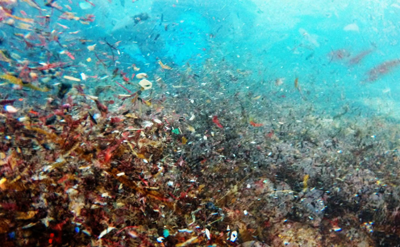 Raman Spectroscopy From Viruses Identification To Microplastics