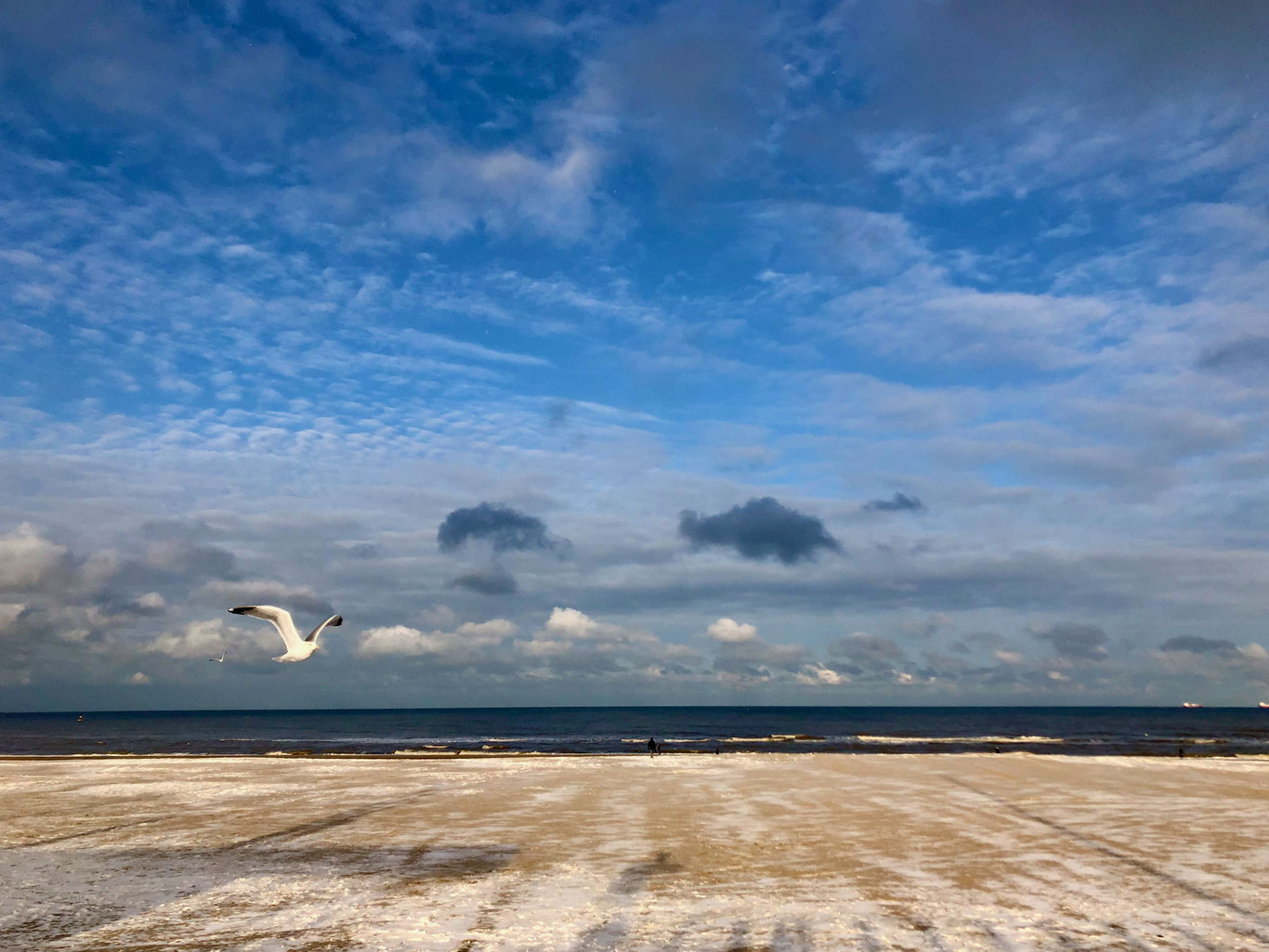 Scheveningen im Winter - Scheveningen Strand