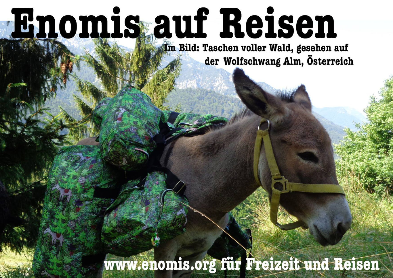 Werbung für Taschen, die Überraschen - enomis1s Webseite!