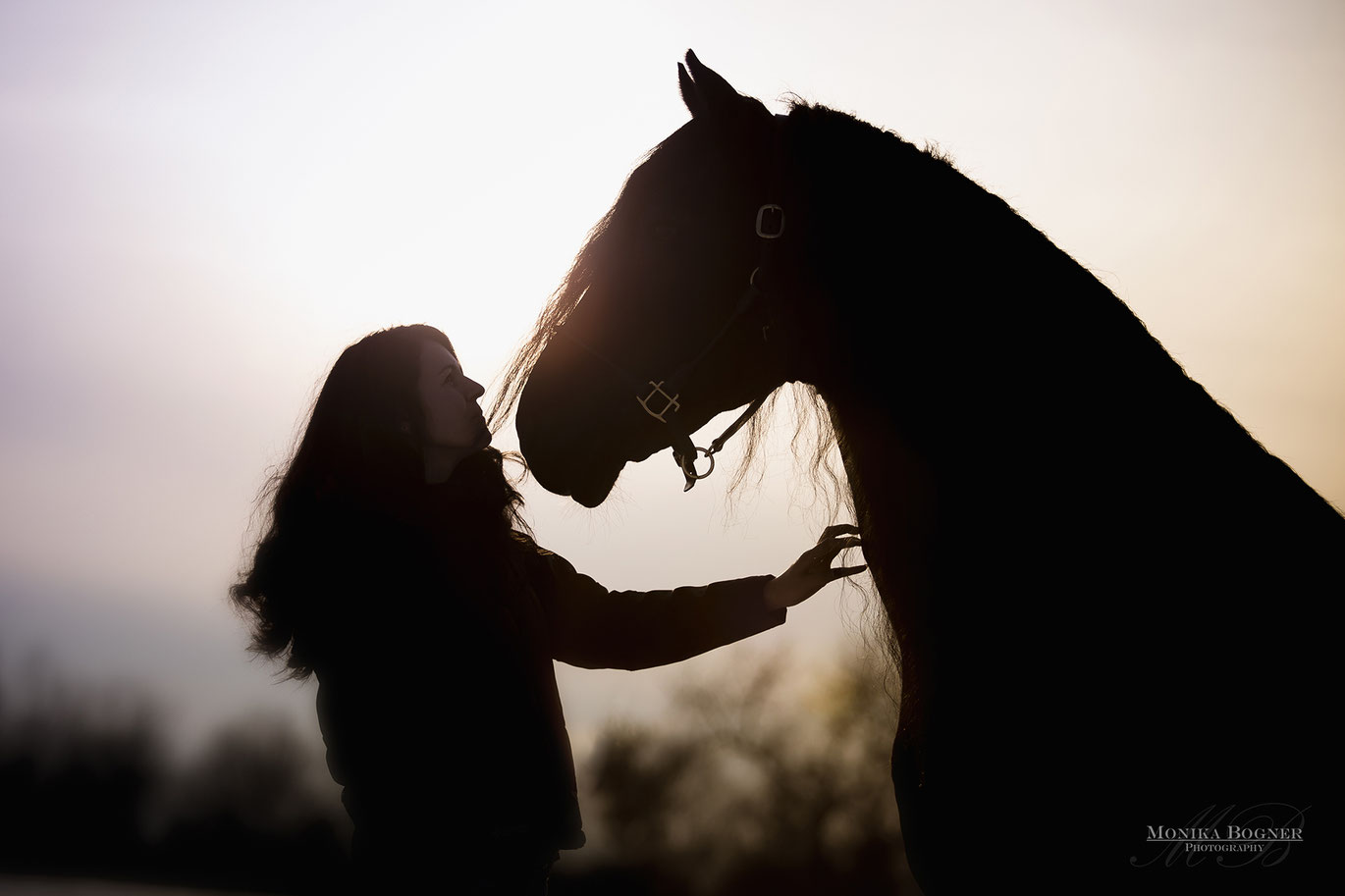 Pferd & Mensch - Pferdefotografie - Monika Bogner Photography ... Pferd & Mensch - Pferdefotografie - Monika Bogner Photography ...