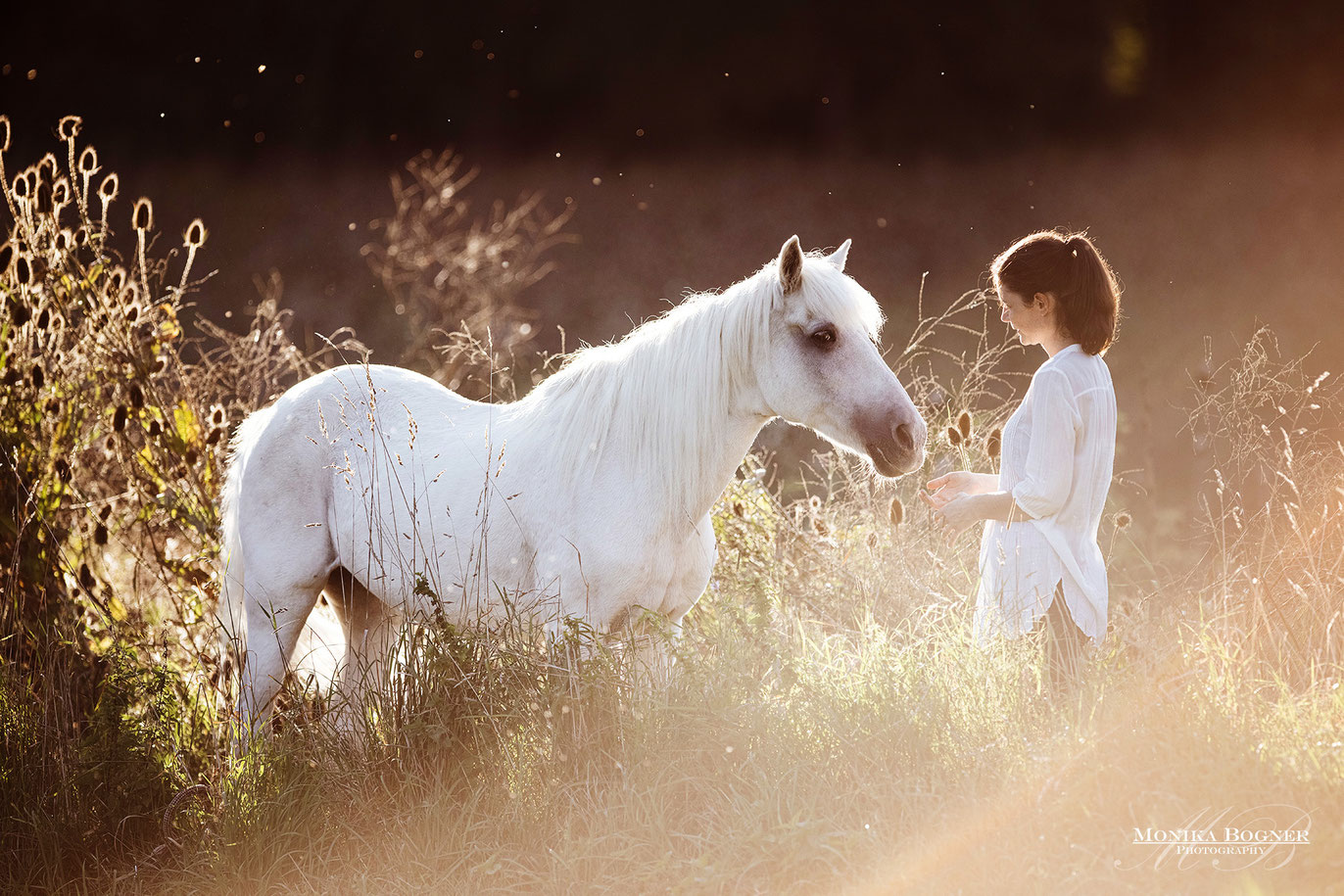 Pferd & Mensch - Pferdefotografie - Monika Bogner Photography ... Pferd & Mensch - Pferdefotografie - Monika Bogner Photography ...