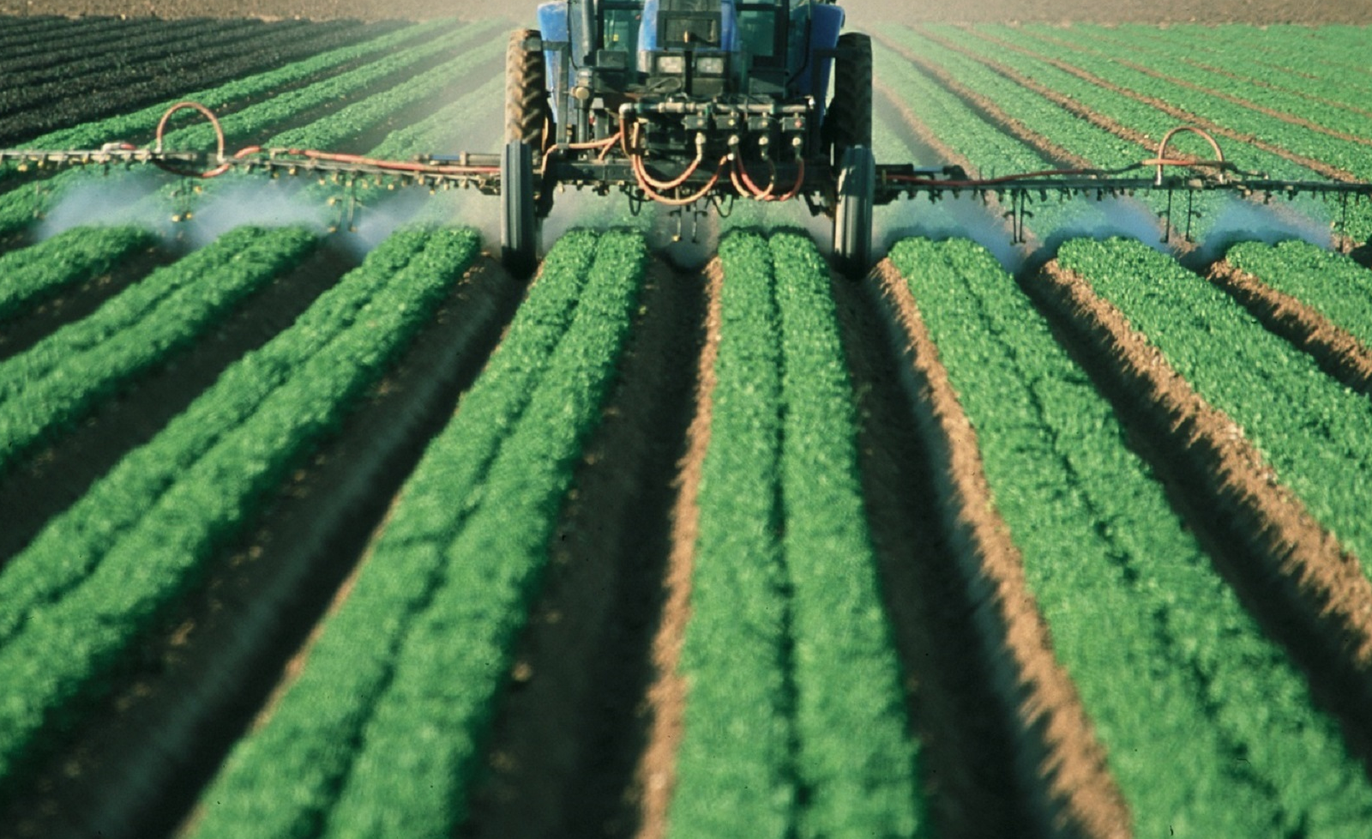 Insektizid: Neonicotinoide - Imkerverein Germersheim e.V.