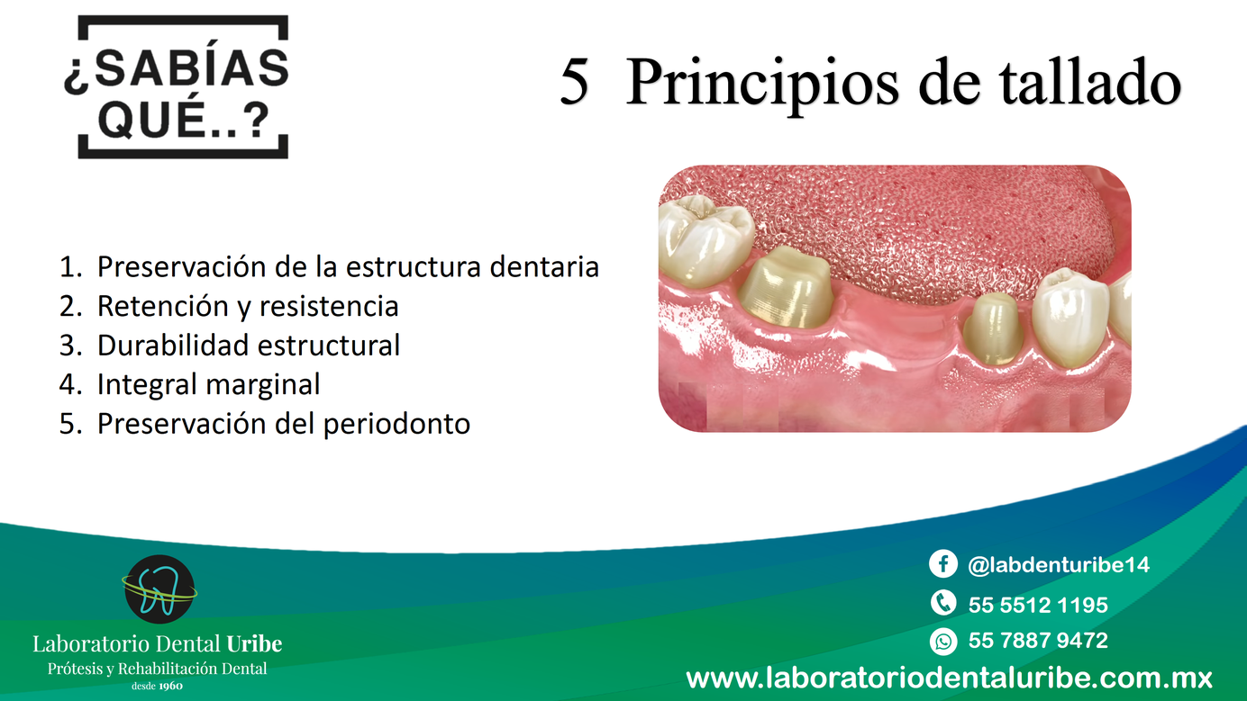 5 Principios de tallado en prótesis fija - Página web de ...